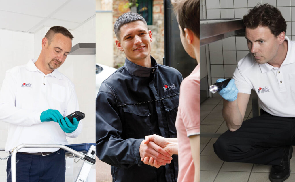 Commercial Pest Control | Elis Pest Control Northern Ireland